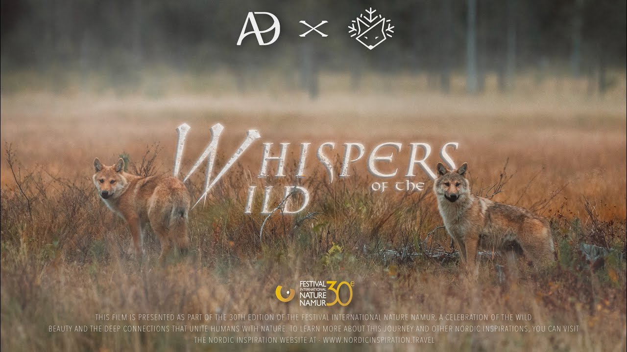 FINLAND - WHISPERS OF THE WILD | Cinematic Travel Film 4k