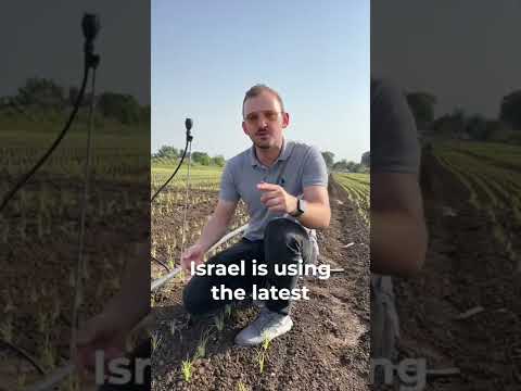Why supporting Israel is supporting your next meal! ???? ???????? #shorts #agriculture