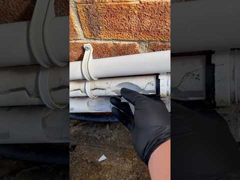 Training and apprentice plumbers! What caused this? #plumber #plumbing