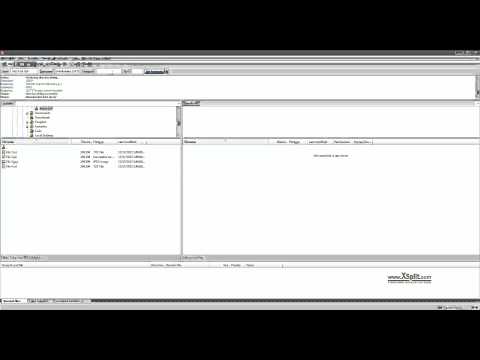 BeastNode: How to use FileZilla to Access Server Files