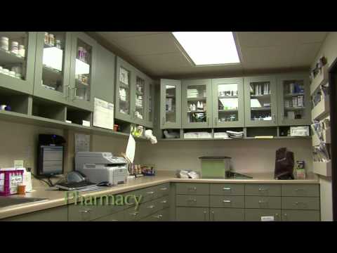 Green Valley Animal Hospital Video Tour