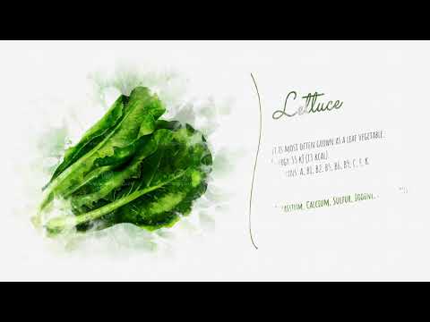 Set of lettuce animations for video editing