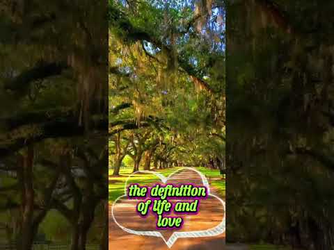 What is the definition of life?