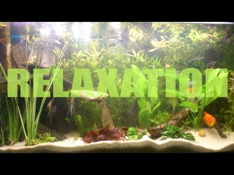RELAXATION
