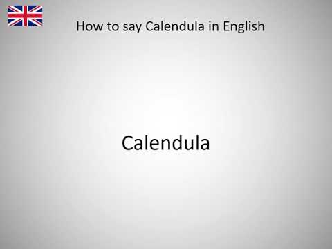 How to say Calendula in English?