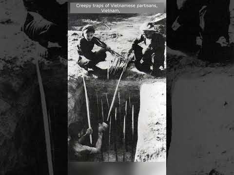 Unmasking Forgotten History: Rare Photos That Redefine the Past!