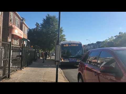 MTA Bus | NYCT Bx36/LTD @Archer Rd and white plains road.