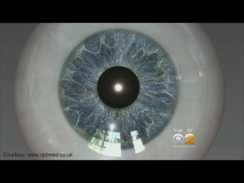Eyesight Implants