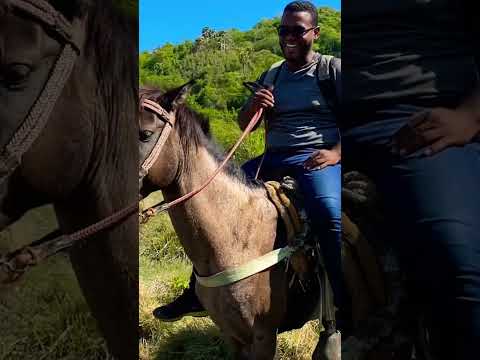 Un paseo con Caliman #elcampestre #campestre #campo