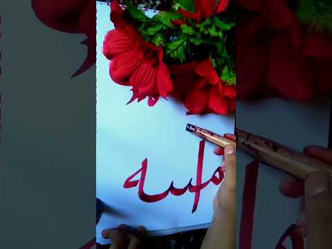 how to write "Aamina"✨✨#shorts#calligraphy#viral#name#arabic#love