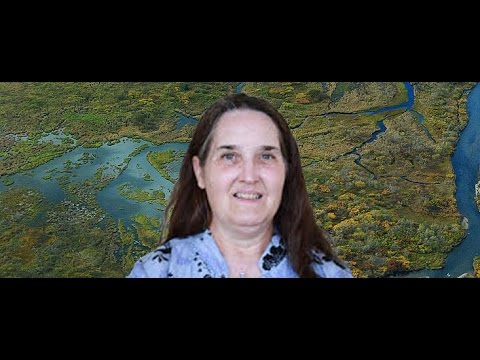 Wetlands: Climate Change, Restoration, and Management
