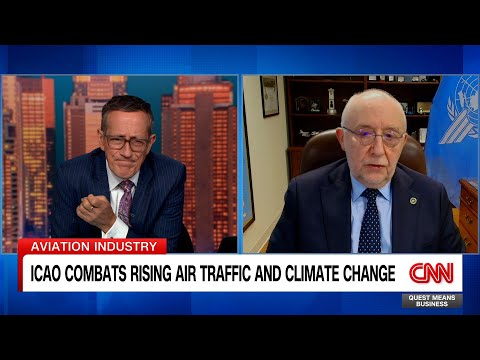 ICAO President on How the Aviation Watchdog Plans to Reach Net-Zero Emissions