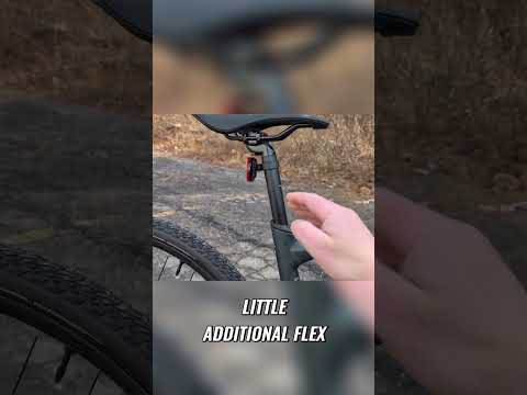 Giant Revolt II: Affordable Gravel Bike with Hidden Features!