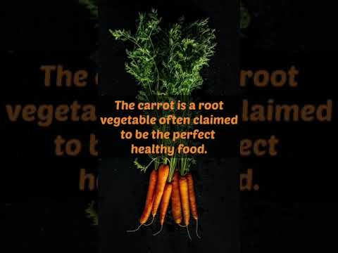 It's all about carrot today. Explore food facts with NFCI