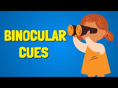 Binocular Cues Explained: How We See the World in 3D. Science of Depth Perception. Free PDF Download