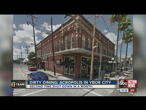 Dirty Dining: Acropolis Greek Taverna in Ybor City temporarily closed for 2nd time in 3 weeks