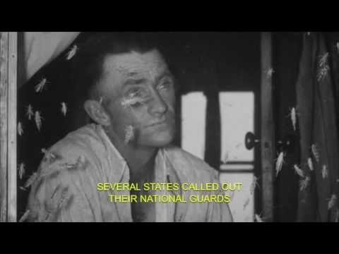 Out of the Dust - Grasshoppers