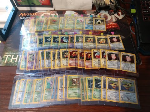 Let's Talk About Jungle! - Huge Purchase, Speculation, Price & Quality