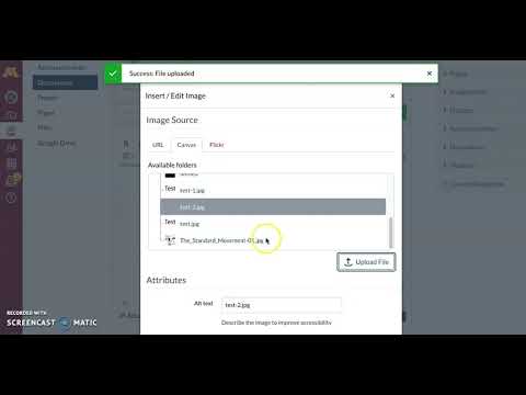 How to embed an image in canvas
