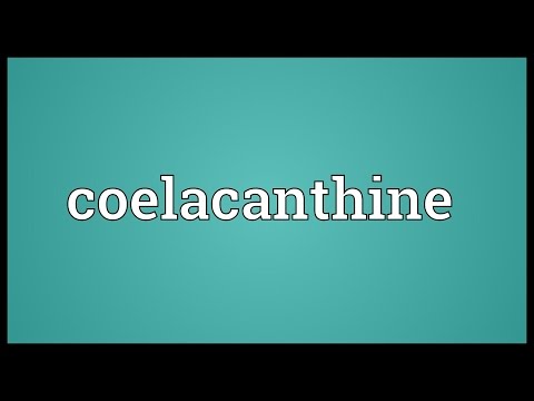 Coelacanthine Meaning