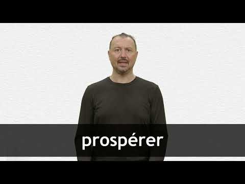 English Translation of “PROSPÉRER” | Collins French-English Dictionary
