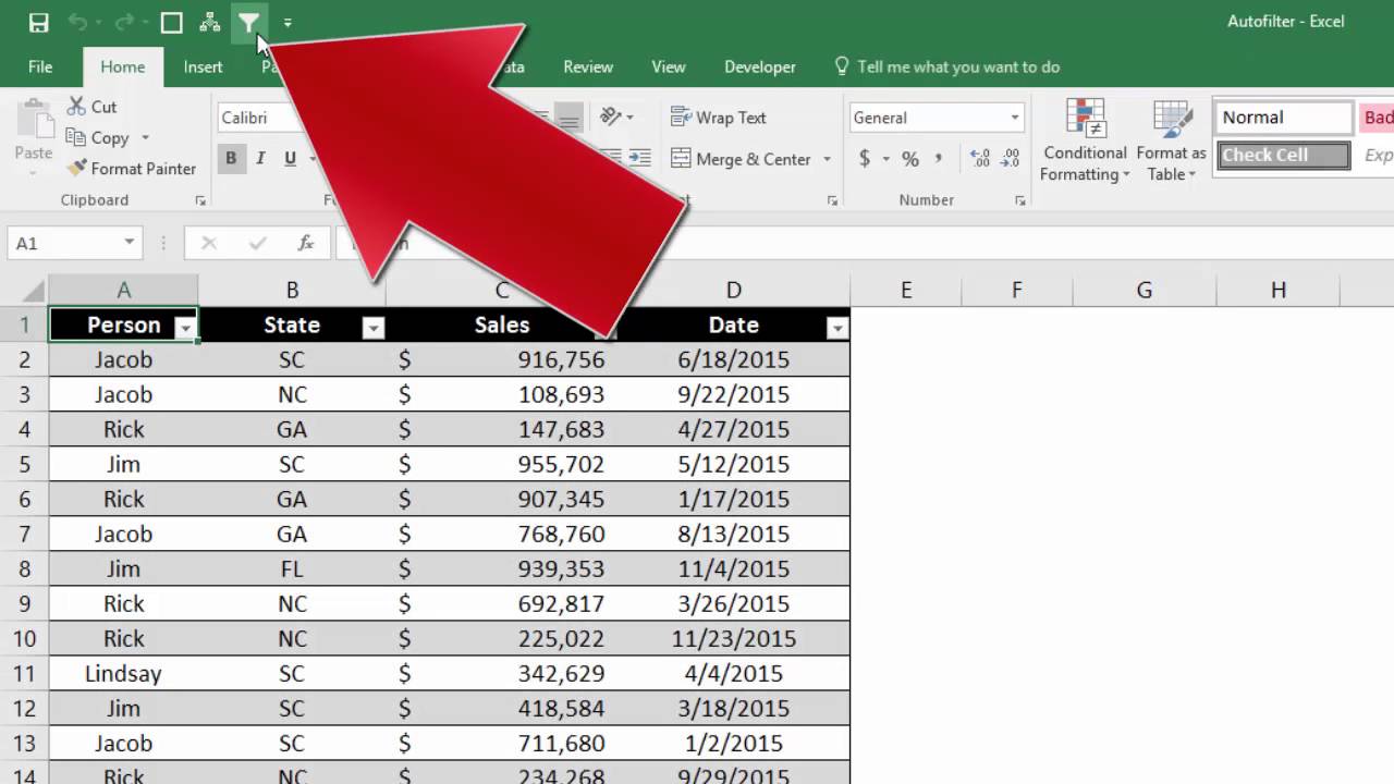 Autofilter: Filtering Made Easy in Excel