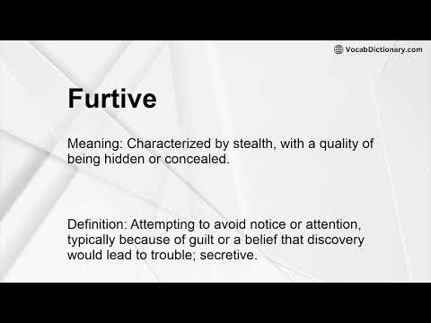 Furtive Meaning