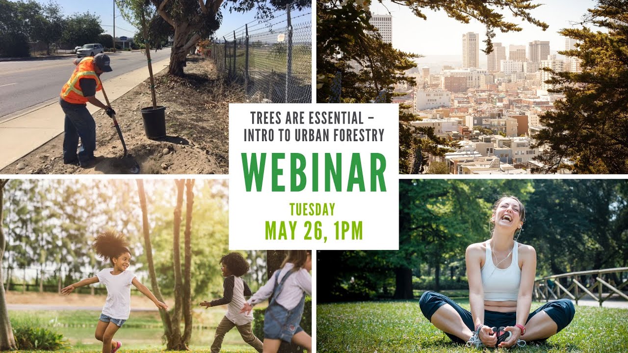 Trees are Essential – Intro to Urban Forestry