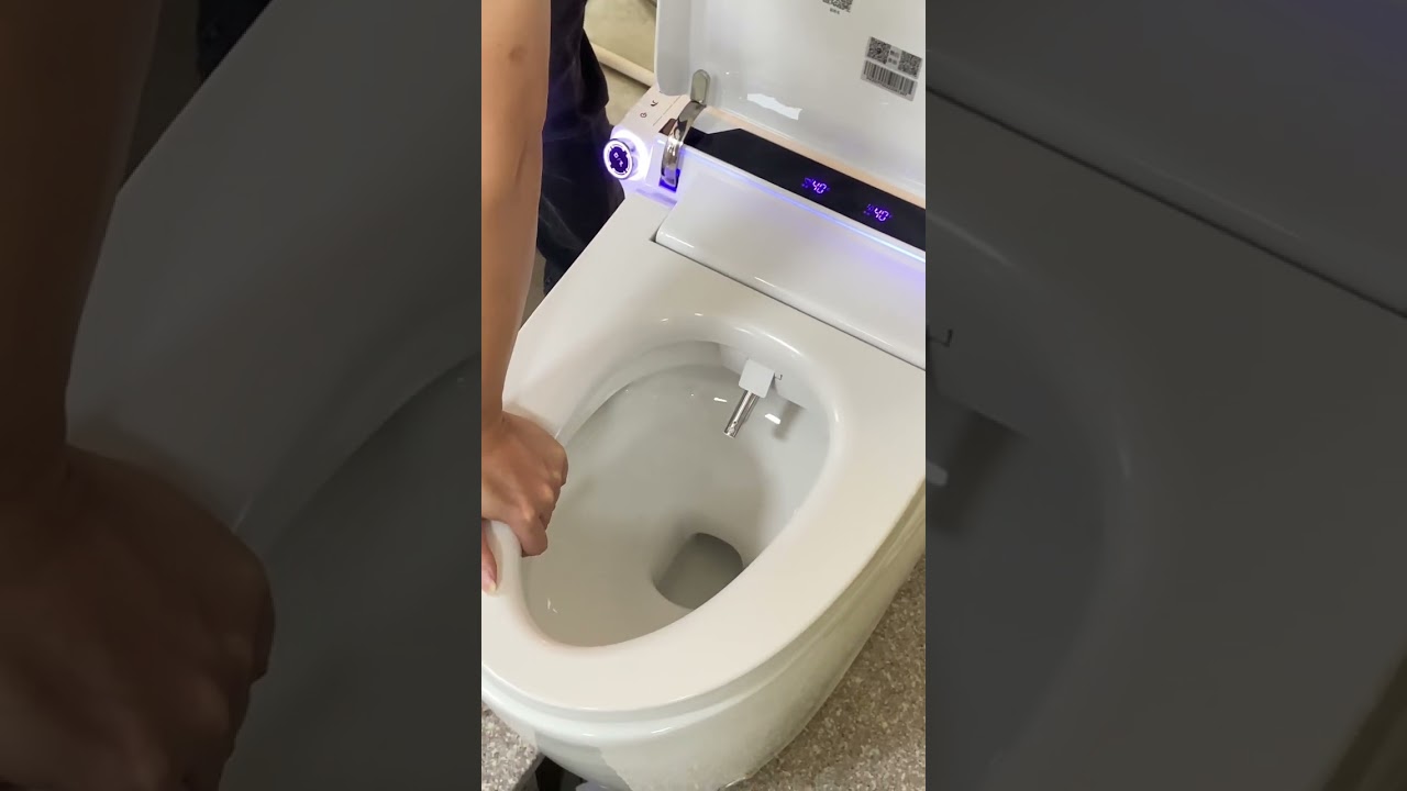Intelligent toilet smart WC with bidet wash function, seat heating, auto-open/close. Very convenient