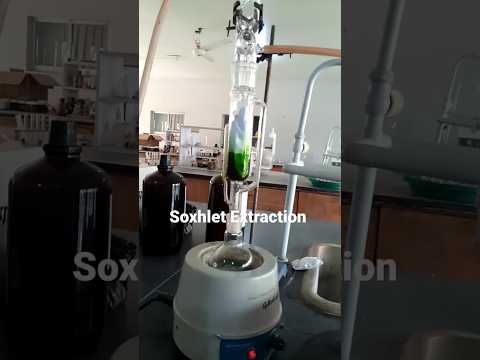 Extraction of lasianthera Africana using (Ethanol): Soxhlet Extraction Method