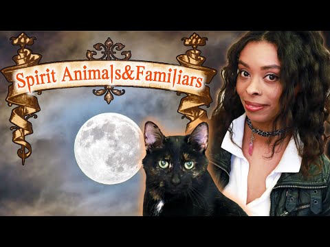 How Witches Connect With The Animal Kingdom