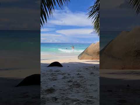 Anse Patates at La Digue Island | A Paradise on Earth! #shorts #vlog #travel #Seychelles