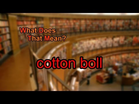 What does cotton boll mean?