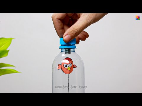 6 CREATIVE IDEAS FOR FAMILY AND FUN!