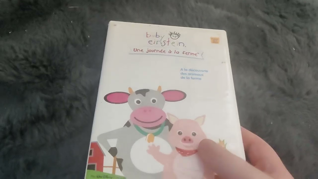 My (REVISED) Foreign Baby Einstein DVD Collection