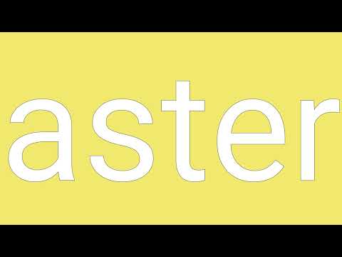 Aster Definition & Meaning