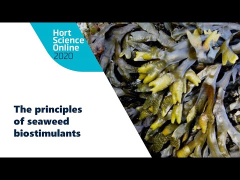 Hort Science Online 2020 | Principles of Seaweed Biostimulants