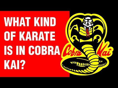 What Kind of Karate is in Cobra Kai? | ART OF ONE DOJO