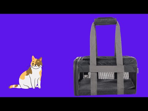 Before You Buy Sherpa Travel Original Deluxe Airline Approved Pet Carrier