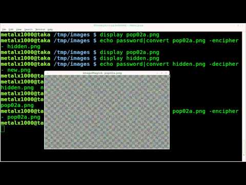 Encrypting Images with ImageMagick BASH Linux