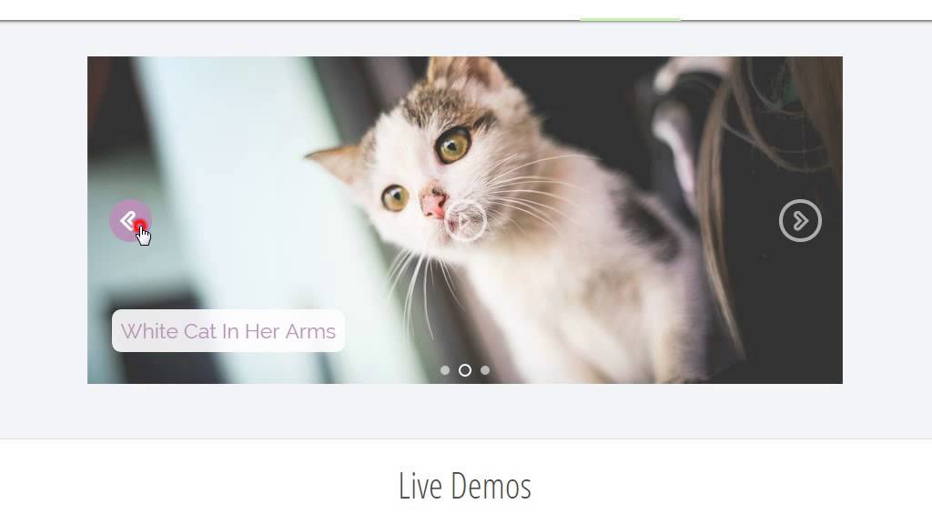 non-Javascript Slideshow - simple to use!