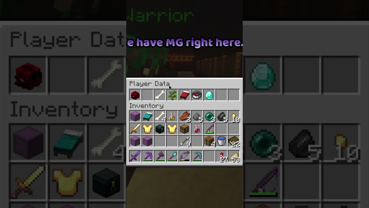 HOW TO use Inventory Rollback Plus to RESTORE a player's inventory! - #minecrafttutorial #minecraft