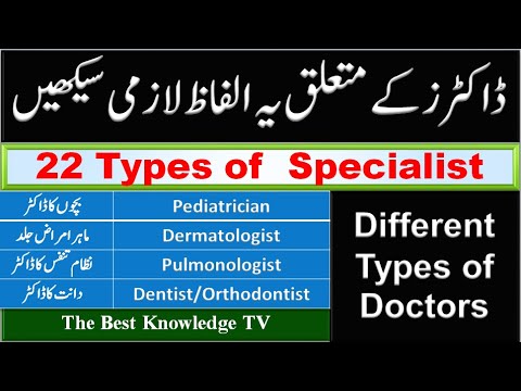 22 Types of Specialist | Types of Doctors & Specialist List In Urdu & English |The Best Knowledge TV