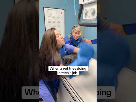 Vets need to stay in their lane #shorts #vetmed #vetclinic