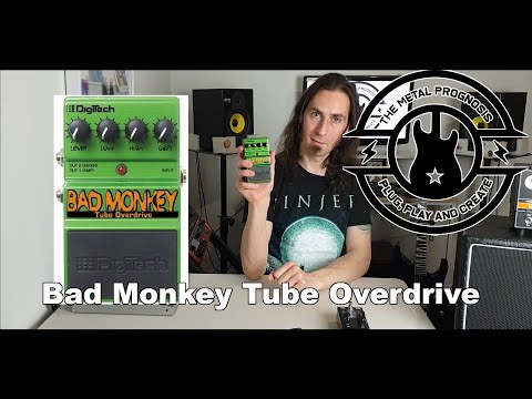 Pedal To the Metal Bad Monkey