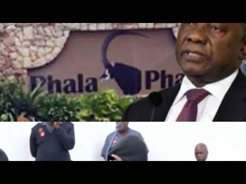 Phala Phala theft case postponed