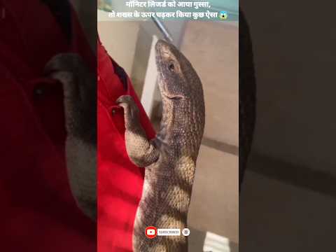 Monitor lizard facts in hindi