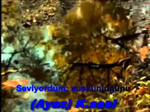 Seviyordum Suskunlugunu siir Ayaz K sesi