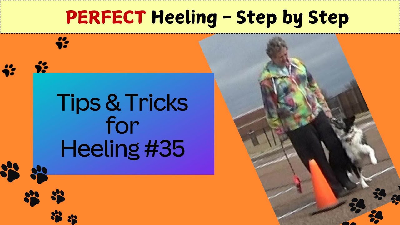 Heeling Tips & Tricks #35 - Right Turn Boxes Teaching & Building DESIRE ...