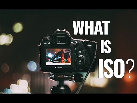 What Is ISO? Photography Tutorial For Beginners